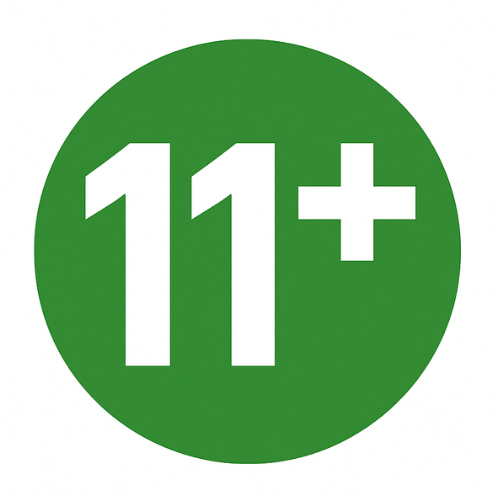 11+ Mentors - Expert Tuition for 11+ Exam Success